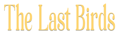 The Last Birds - HilalPlay